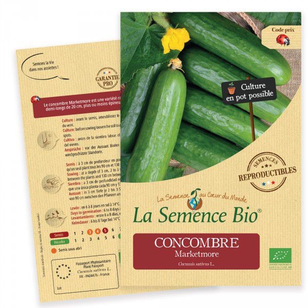 Graines Concombre Marketmore BIO - La Semence Bio