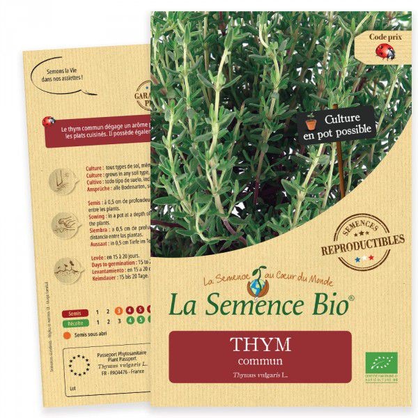 Graines Thym commun BIO - La Semence Bio